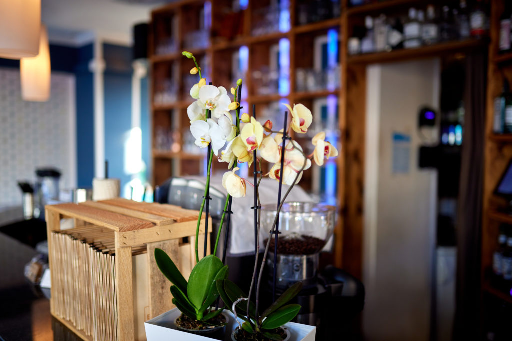 BAR2 Mannheim – Bar | Eventlocation | Lounge